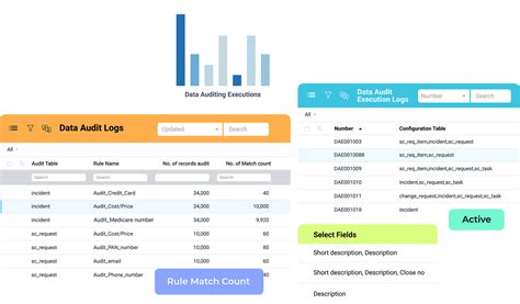 Data Auditing Sysintegra