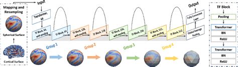 Figure 3 From Spherical Transformer For Quality Assessment Of Pediatric Cortical Surfaces