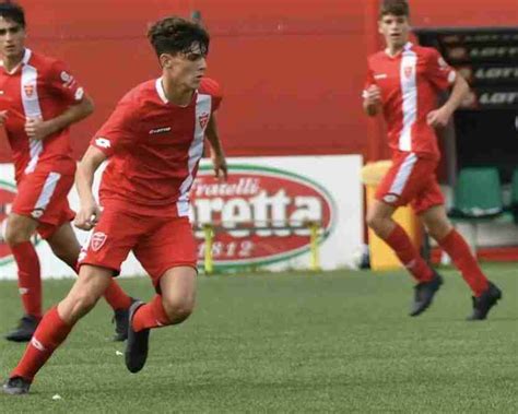 Lazzareschi Andrea Bc Group Agency