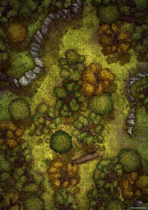 Woods Dnd Forest Map Ondepode Wallpaper