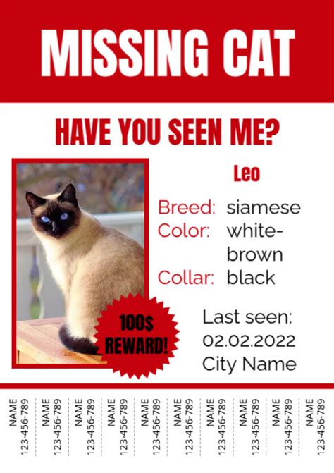 Missing Lost Cat Template Postermywall