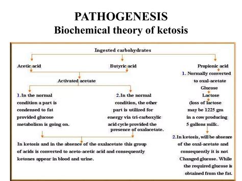 Ketosis In Cows Pptx