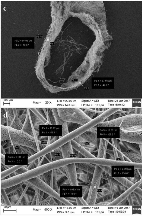Poly L Lactic Acid Plla Chitosan Collagen Electrospun Tube For