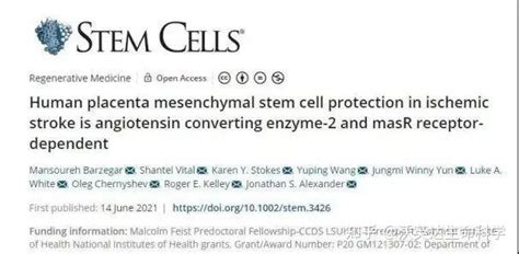 干细胞治疗脑中风作用机制研究进展 知乎