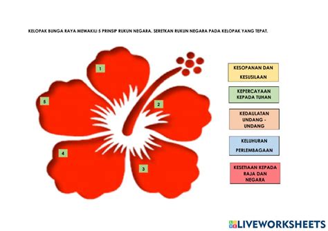 Detail Gambar Bunga Raya Dan Rukun Negara Koleksi Nomer 8