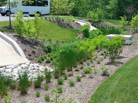 Msd Bio Retention Bluegrass Lawncare