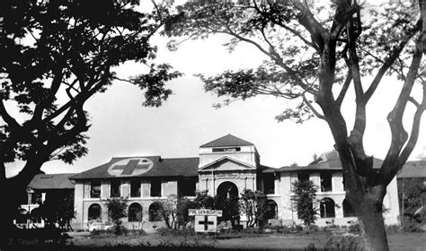 History Of Nursing In The Philippines Nurseslabs
