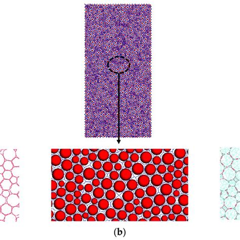 From The Grain Structure To The Flexible Contact Model A Initial