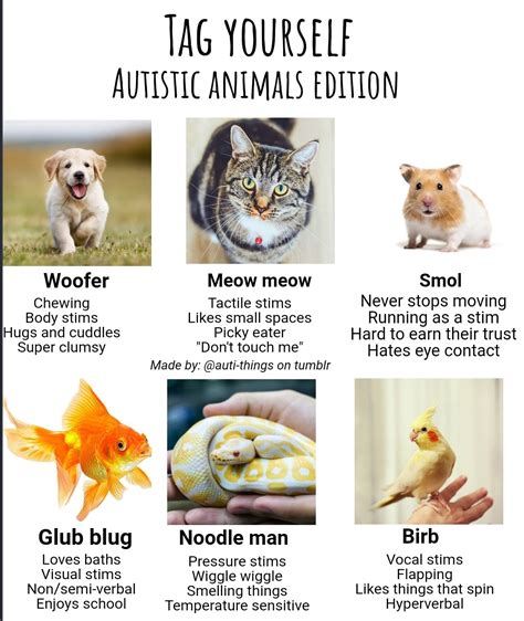 Actually Autistic Tumblr