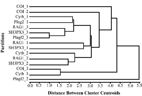 clustering diagram showing overall similarity among 15 data blocks of