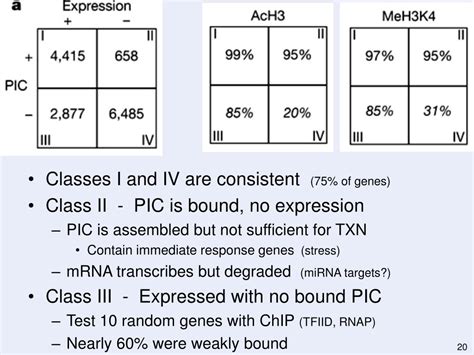 Ppt Location Analysis Of Transcription Factor Binding Powerpoint