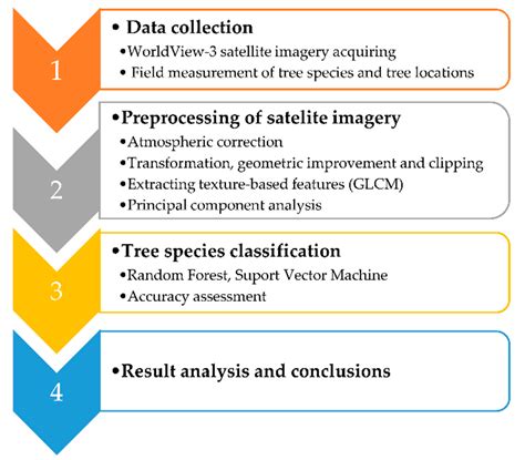 Species Classification Tree