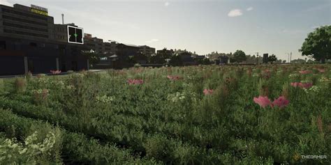 The Best Starting Lots In Hutan Pantai Farming Simulator 25