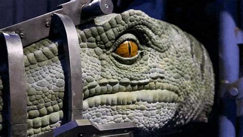 Jurassic Park Film Props Exhibition Mydinosaurs