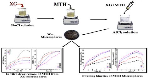 Micromachines Free Full Text Formulation And Evaluation Of Xanthan Gum Microspheres For The
