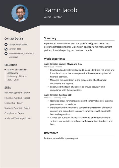 Audit Director Resume Example Free Guide