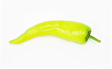 Pasilla Background Images Hd Pictures And Wallpaper For Free Download