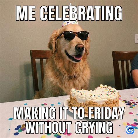 Celebration Meme S Free 4k Images Download Buon 