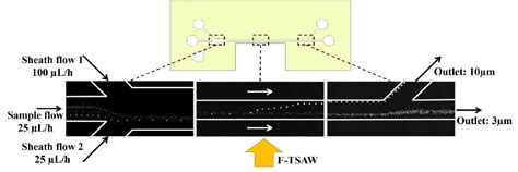 Polystyrene Microparticles With Diameter 10μm Are Separated From 3 μm