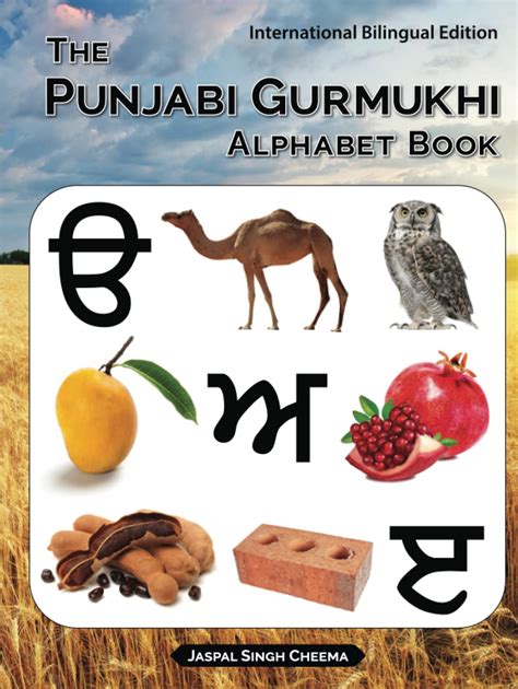 The Punjabi Gurmukhi Alphabet Book International Bilingual Edition
