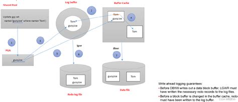 oracle特殊恢复原理与实战 01 oracle特殊恢复入门 oracle dsi csdn博客