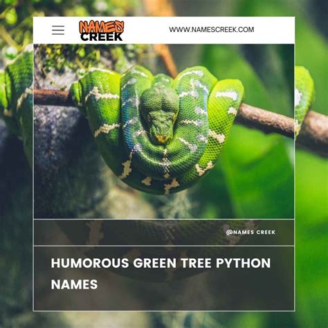 140 Green Tree Python Names