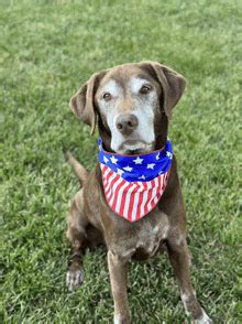 Happy 4th Of July  S Tenor