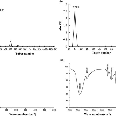 Scanning Election Microscope Sem Photographs Of Cpp1 Download Scientific Diagram