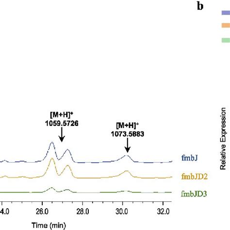 Overview Of Bacillomycin D Biosynthesis A The Bacillomycin D Download Scientific Diagram