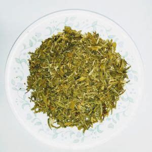 Vinca Rosea Leaves At Best Price From Manufacturers Suppliers And Traders