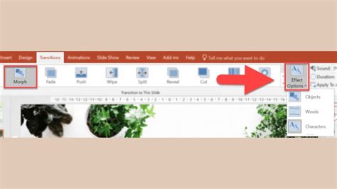 Cách sử dụng hiệu ứng Morph trong Powerpoint đơn giản hiệu quả