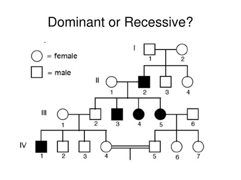 Ppt Pedigrees And Genetic Analysis Powerpoint Presentation Free Download Id3863310
