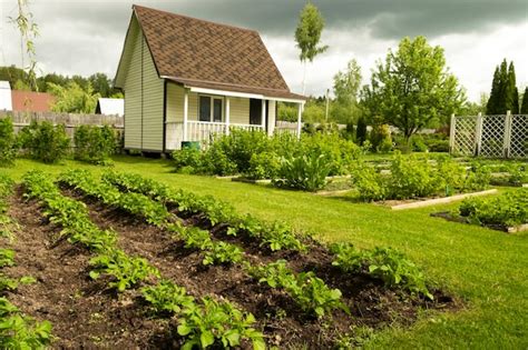 Premium Photo Beautiful And Wellgroomed Garden Bed On The Garden Plot