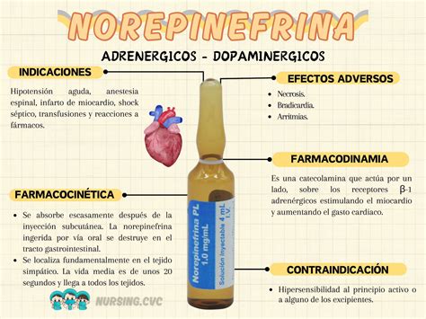 Qu Diferencia Adrenalina De Noradrenalina Epinefrina Norepinefrina