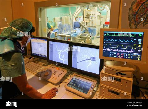 Cerebral Aneurysm Embolization Willis Polygone Angiography