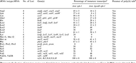 Effect Of Absence Of Rnase T And Rnase Ph On Selected Trnas And Rrna Download Table
