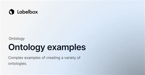 Ontology Examples Labelbox