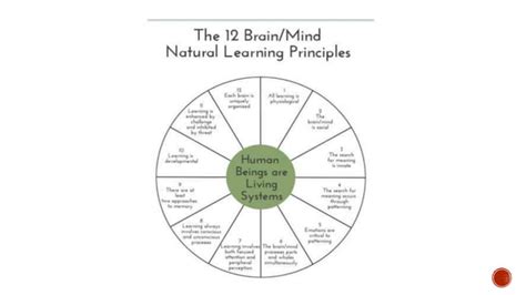 Brain Based Learning Ppt