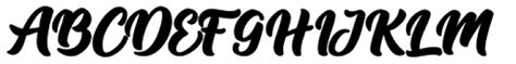 Darion Bold Font Download Commercial Whatfontis