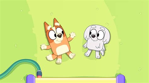 New Bluey Episode Guide Bluey Official Website