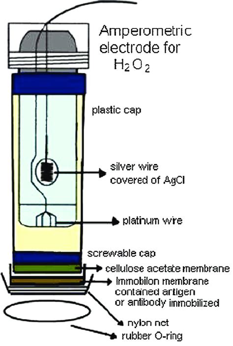 Amperometric Immunosensor Device Using H2o2 Electrode As Transducer