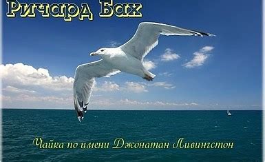 Читать бесплатно электронную книгу Чайка Джонатан Ливингстон (Jonathan ...