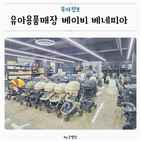 유아용품 할인매장 유아용품매장 의정부 베이비 베네피아 아기 다이치 카시트 네이버 블로그