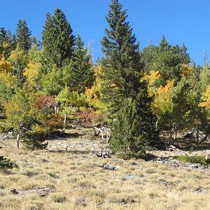 Great Basin National Park Nv 2023 Best Places To Visit Tripadvisor
