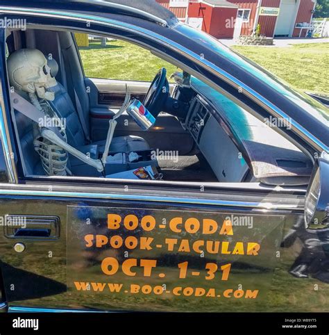 Getting In Halloween Spirit With Boo Coda Car And Its Skeleton