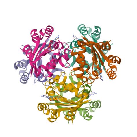 Rcsb Pdb 3dkd Crystal Structure Of The Mimivirus Ndk Kpn N62l R107g