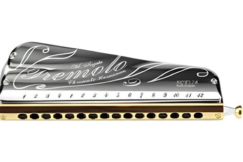Unleash Your Creativity With The Chromatic Tremolo Harmonica