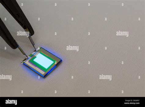 Checking Turn On Small Oled Display Of Blue Color With A Probe Station Stock Photo Alamy