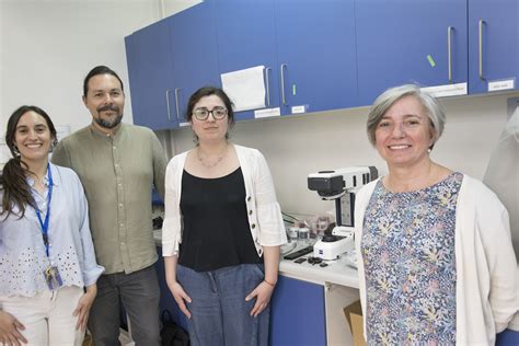 El Centro Nacional De Conservación Y Restauración Potencia La Investigación Con Un Avanzado