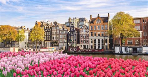 Visiting Keukenhof A Guide To The Amsterdam Tulip Festival News Usa